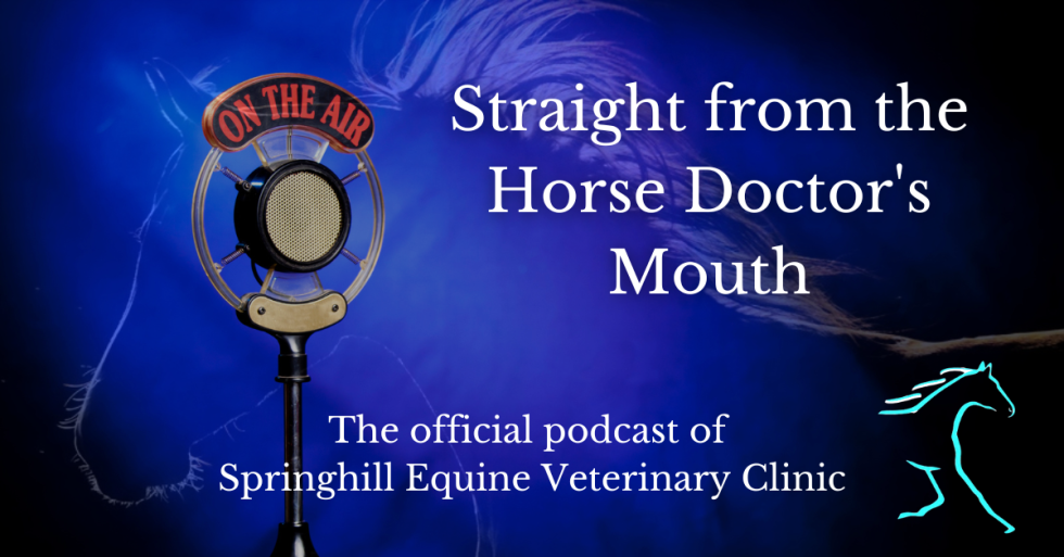 Springhill provides veterinary care for large and small animals!